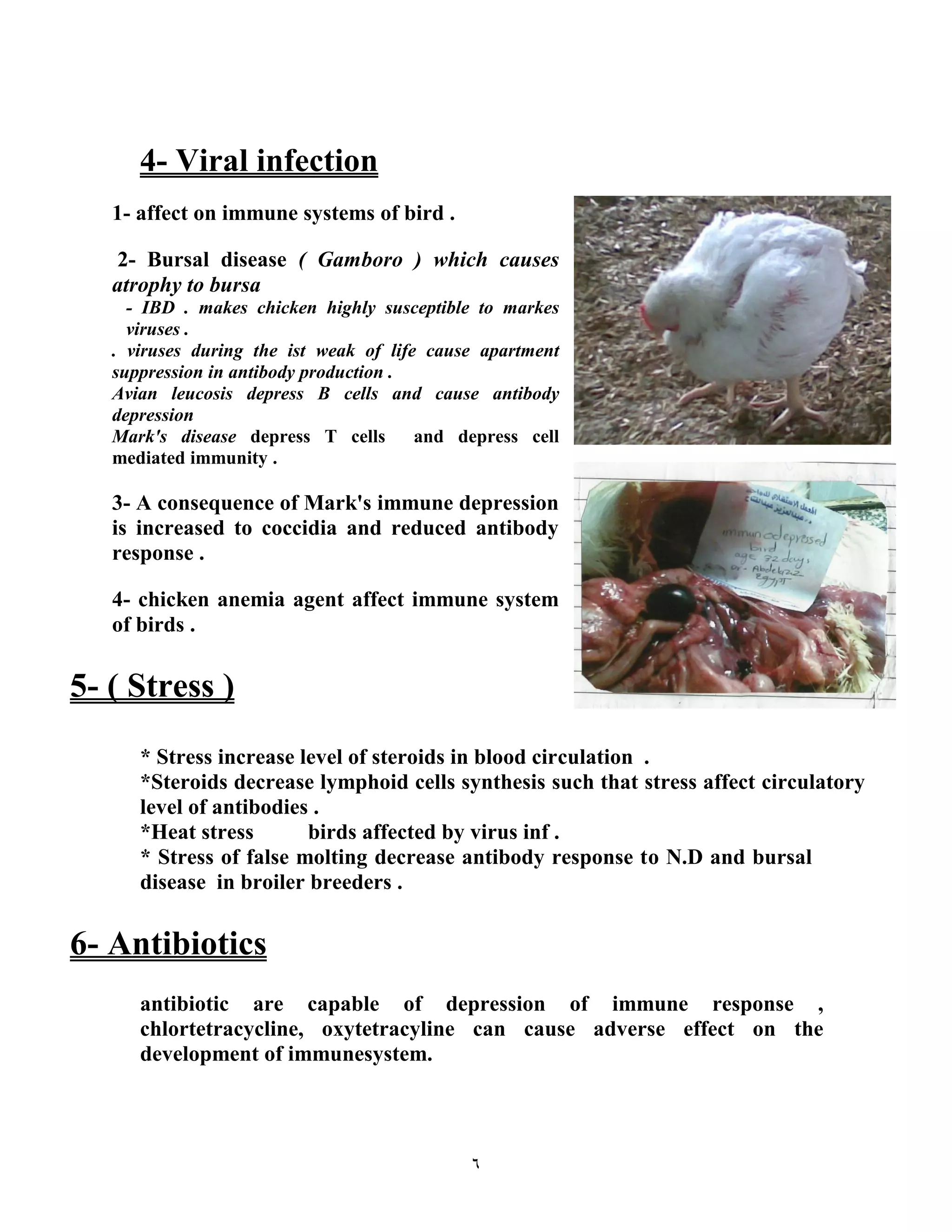 Poultry immune system by dr abdelaziz | PDF