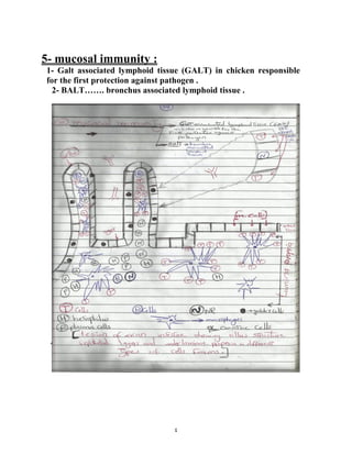 Poultry immune system by dr abdelaziz | PDF