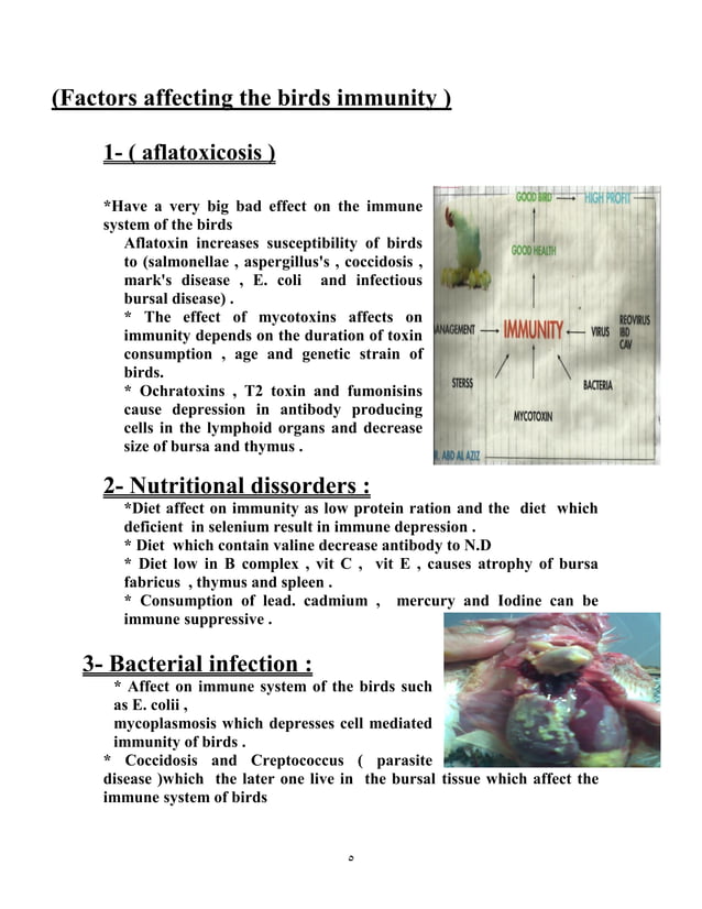 Poultry immune system by dr abdelaziz | PDF