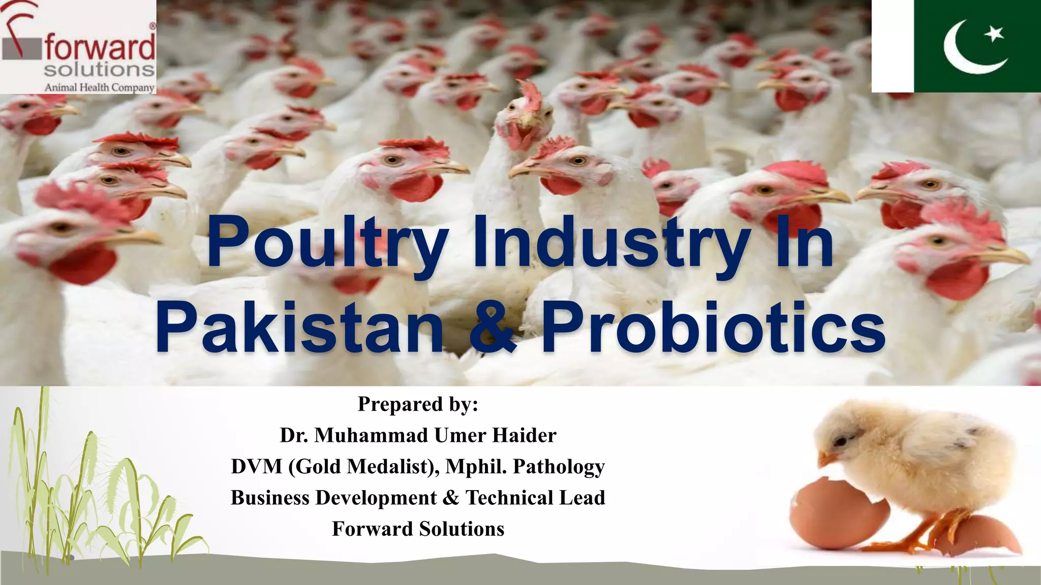 Poultry industry in Pakistan and Probiotics | PPTX