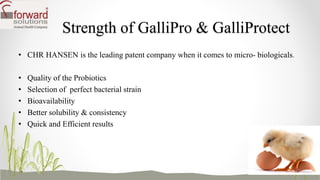 Poultry industry in Pakistan and Probiotics | PPT