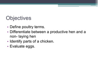 poultryJudging.ppt
