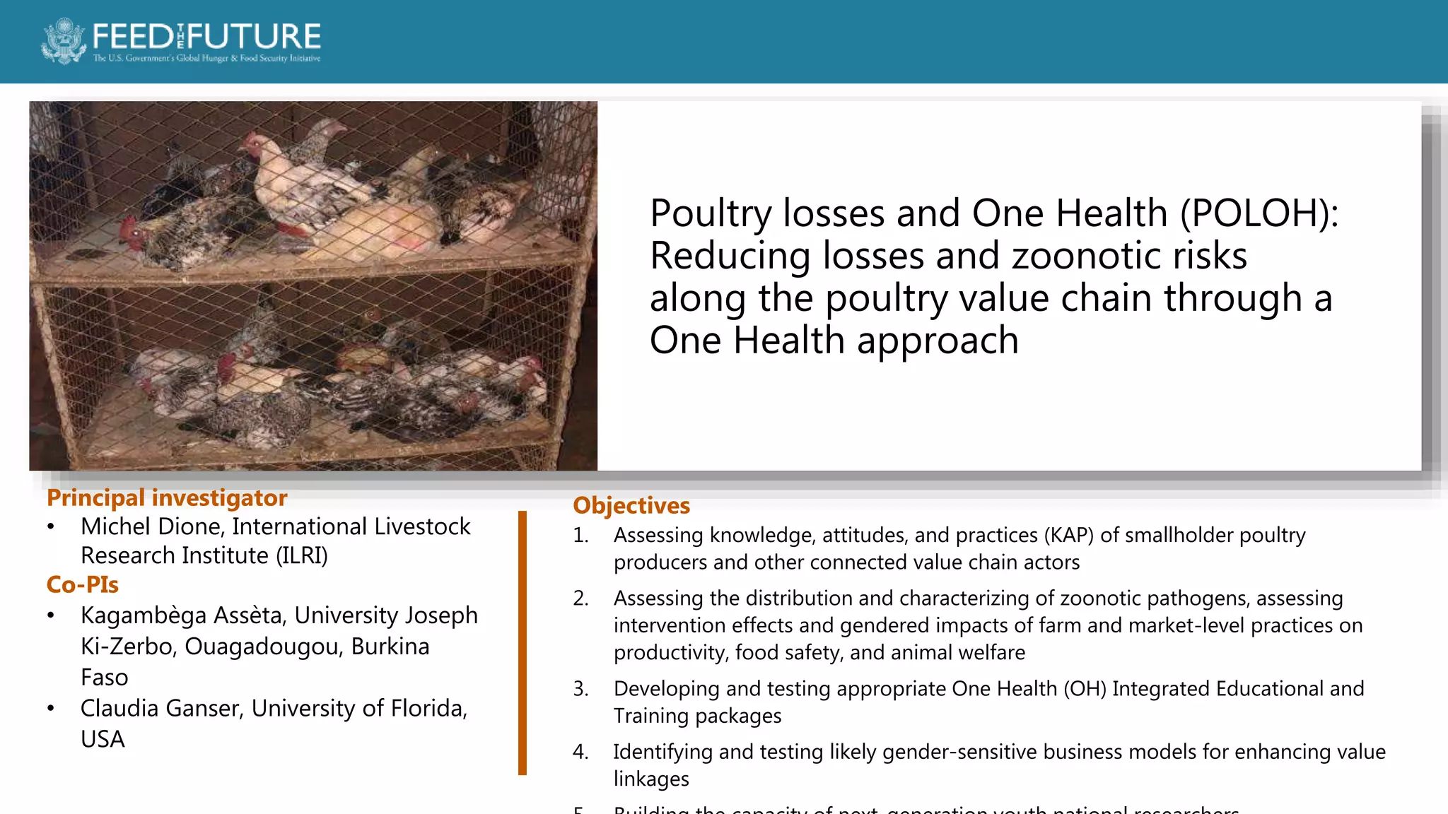 Poultry losses and One Health: Reducing losses and zoonotic risks along ...