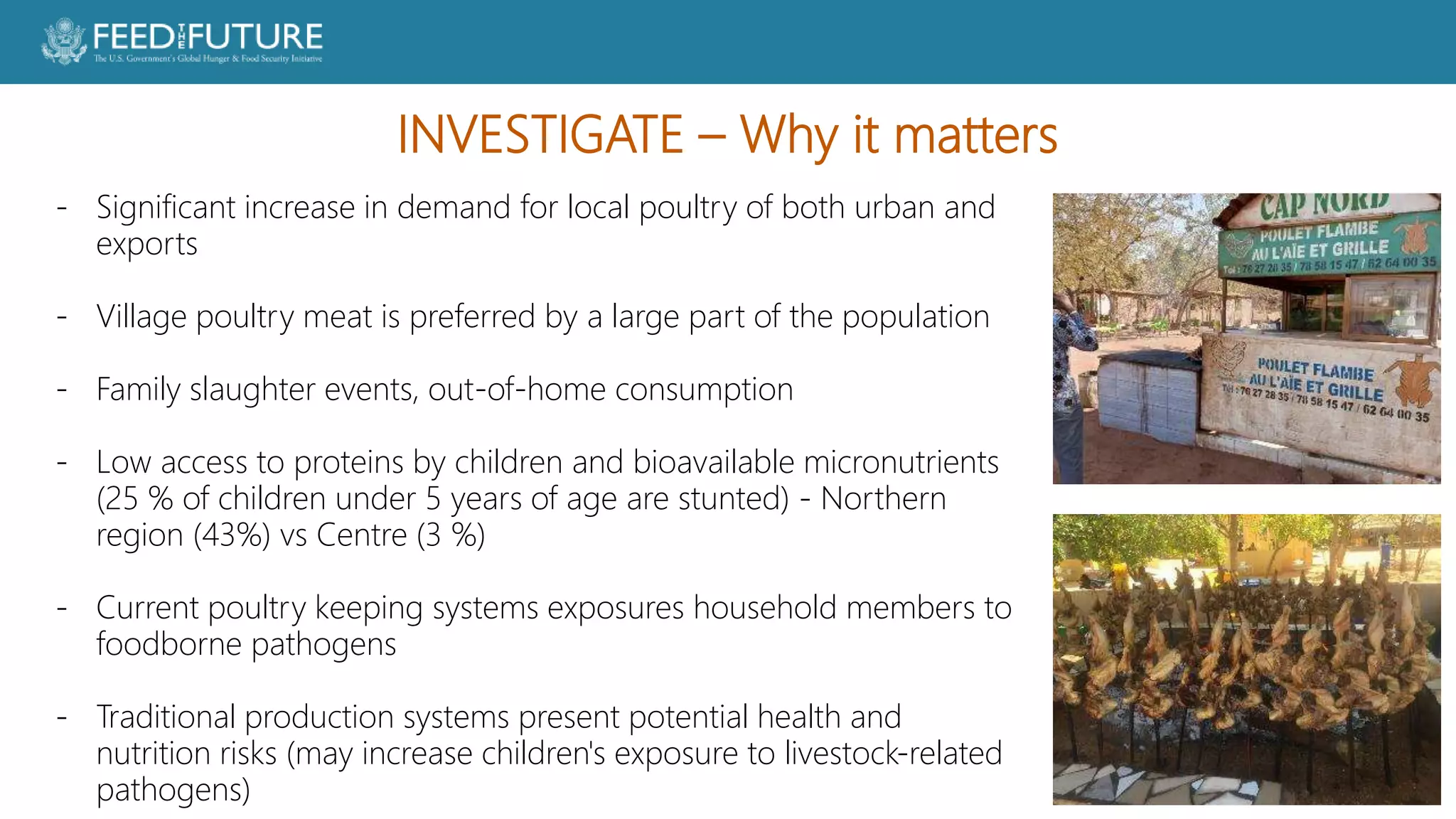 Poultry losses and One Health: Reducing losses and zoonotic risks along ...