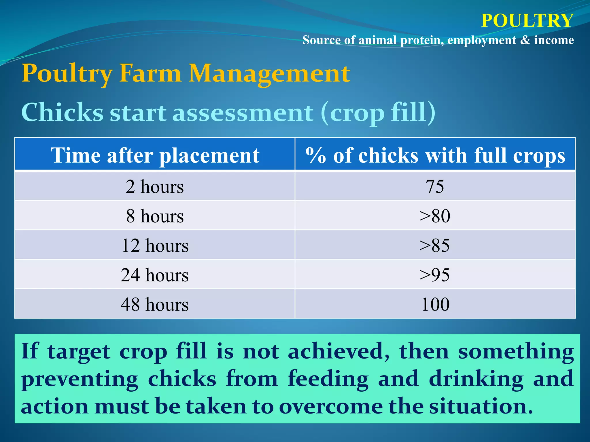 Poultry management | PPTX