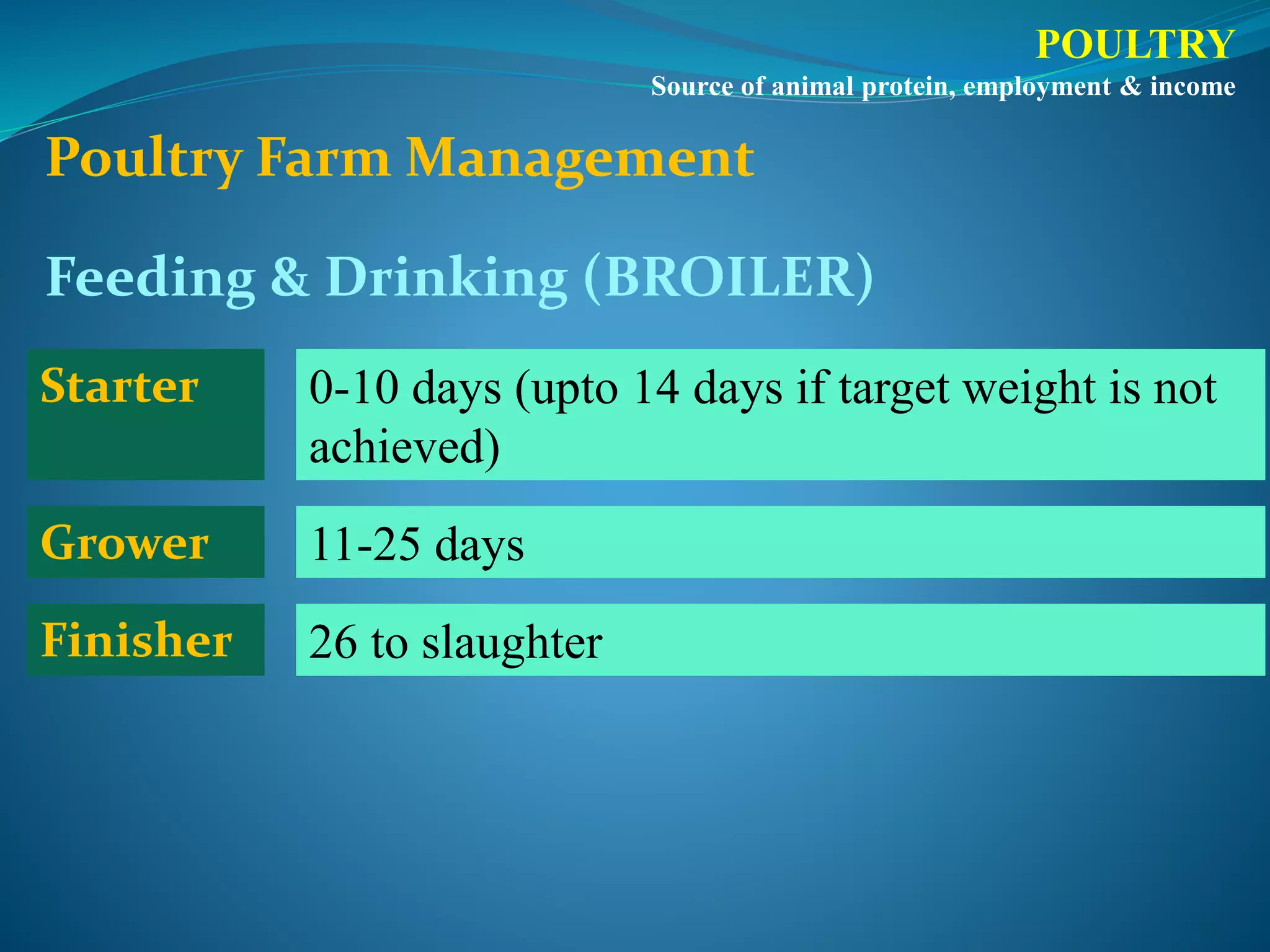 Poultry management | PPTX