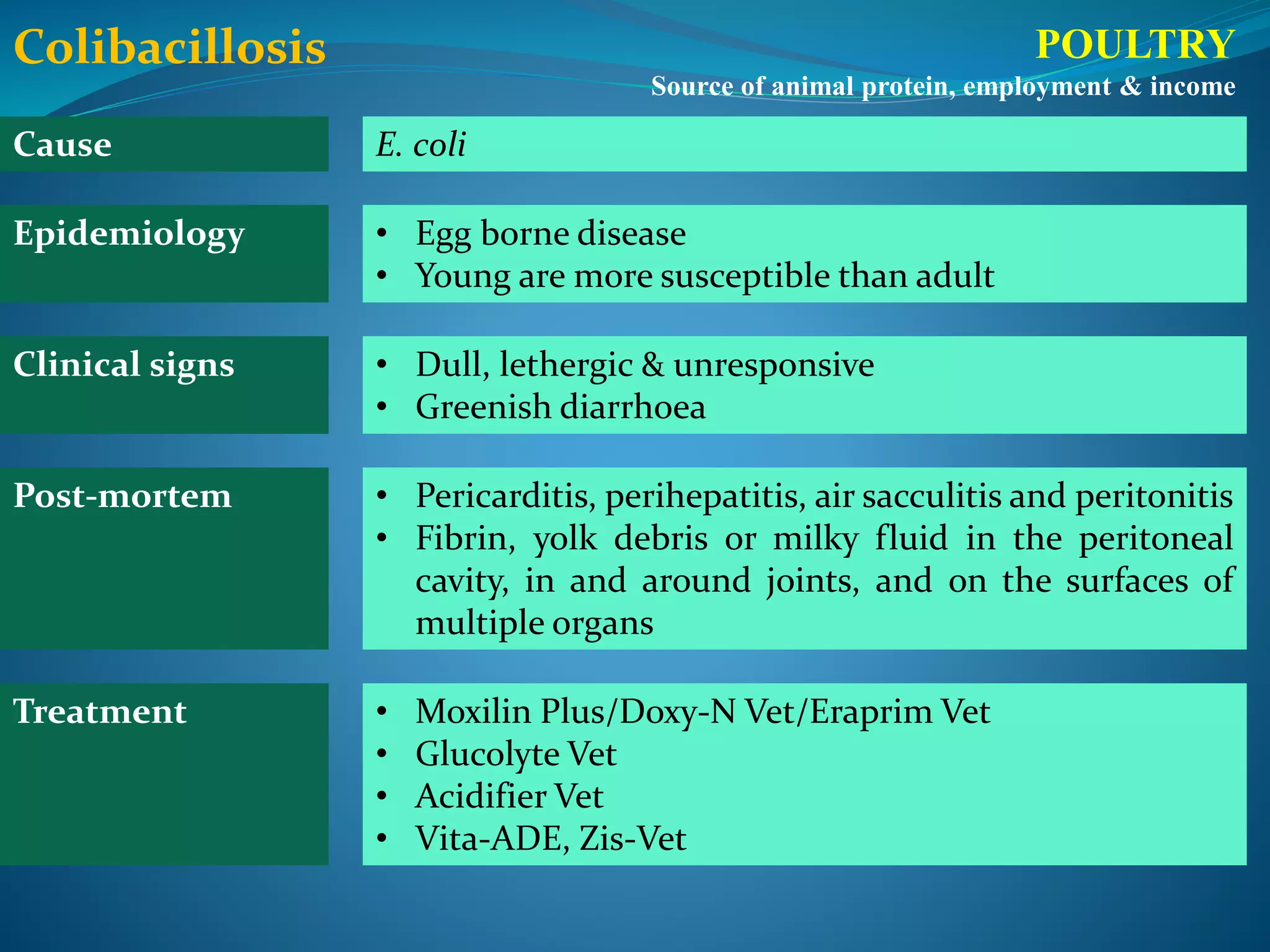 Poultry management | PPTX
