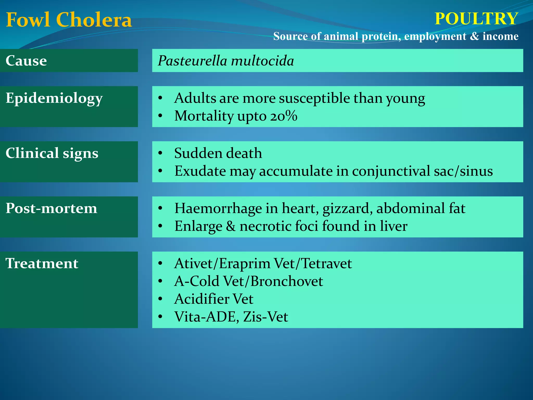 Poultry management | PPTX