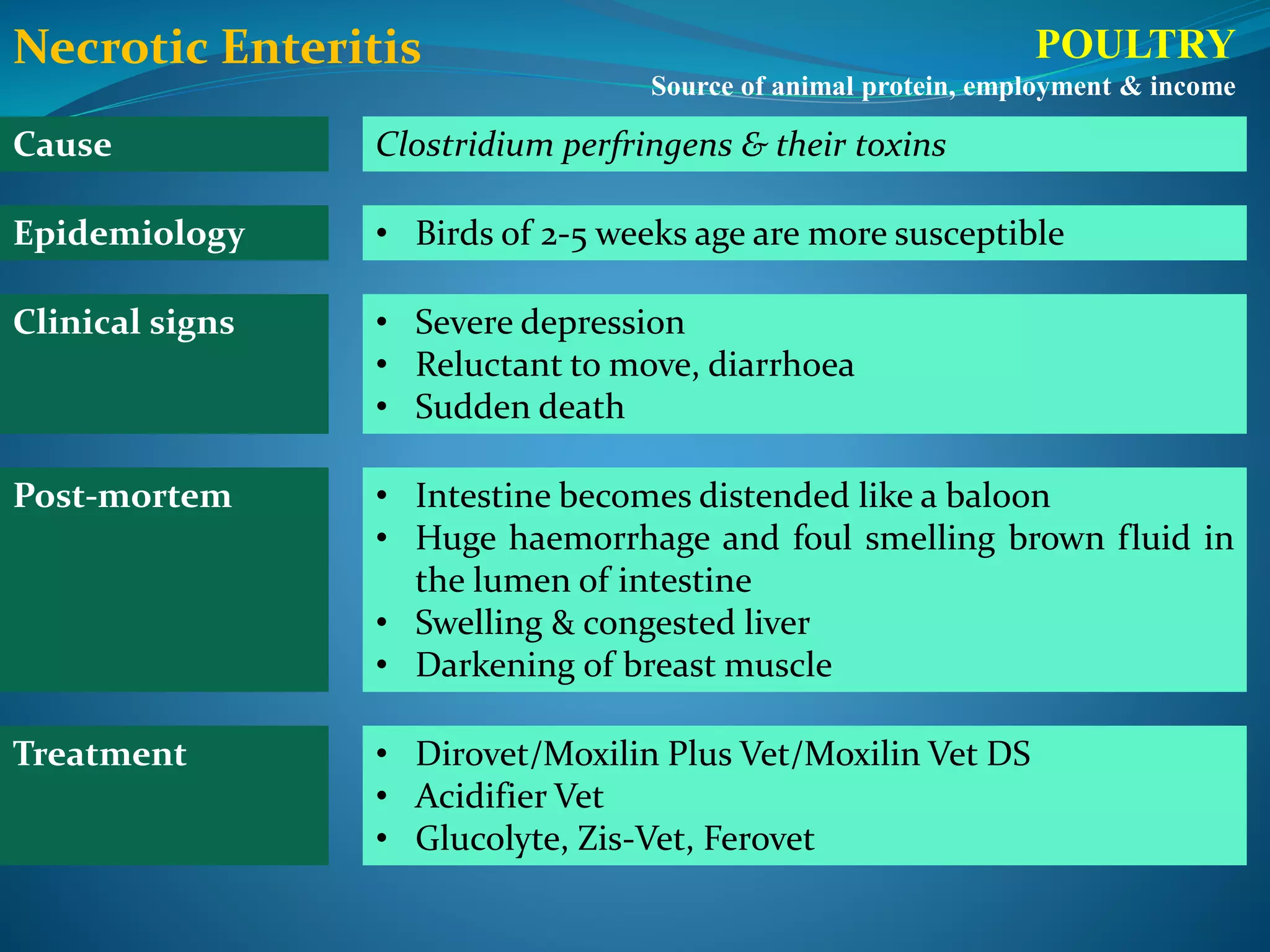 Poultry management | PPTX