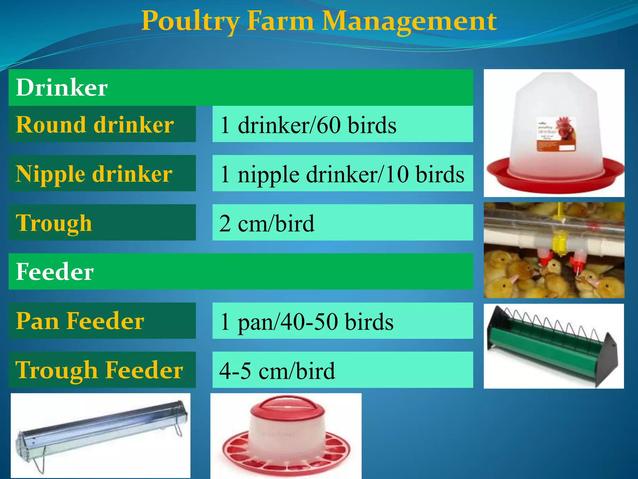 Poultry management | PPTX