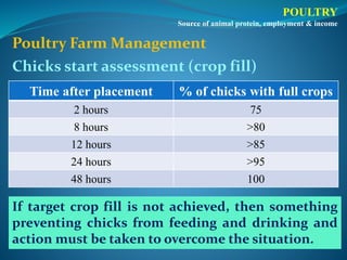 Poultry management | PPTX