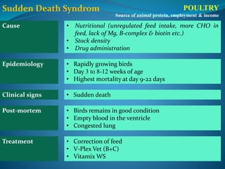 Poultry management | PPTX