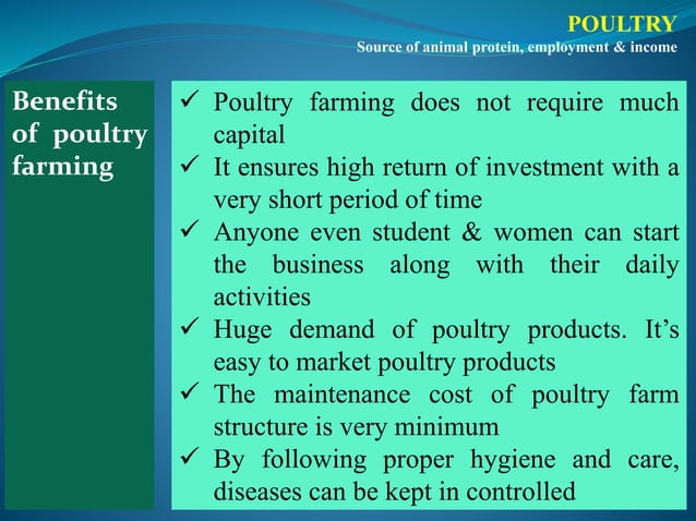 Poultry management