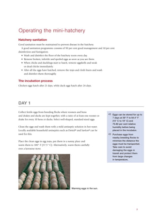 Building and Operating a Mini-hatchery (Sand method) - Training Manual ...