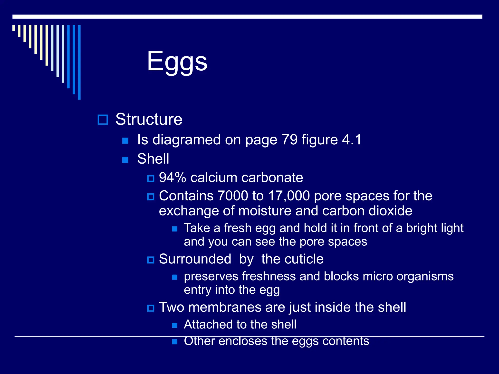 PoultryMeat & Egg.pptx