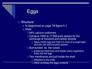 PoultryMeat & Egg.pptx