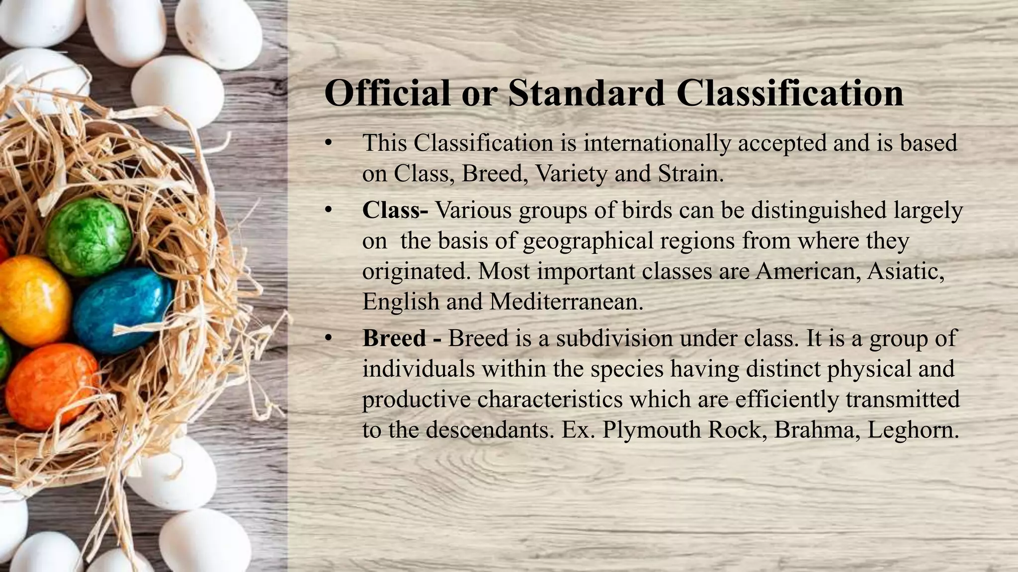 MORPHOLOGICAL DESCRIPTION OF COMMON EXOTIC CHICKEN BREEDS | PPTX ...