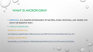 Animal husbandry and dairy science Poultry PPT 1.pptx