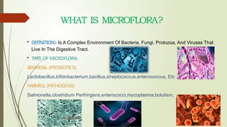 Animal Husbandry and dairy science Poultry PPT 5.pptx