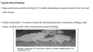 pathology of vitamin A deficiency in poultry | PPTX