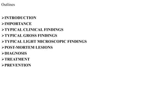 pathology of vitamin A deficiency in poultry | PPTX