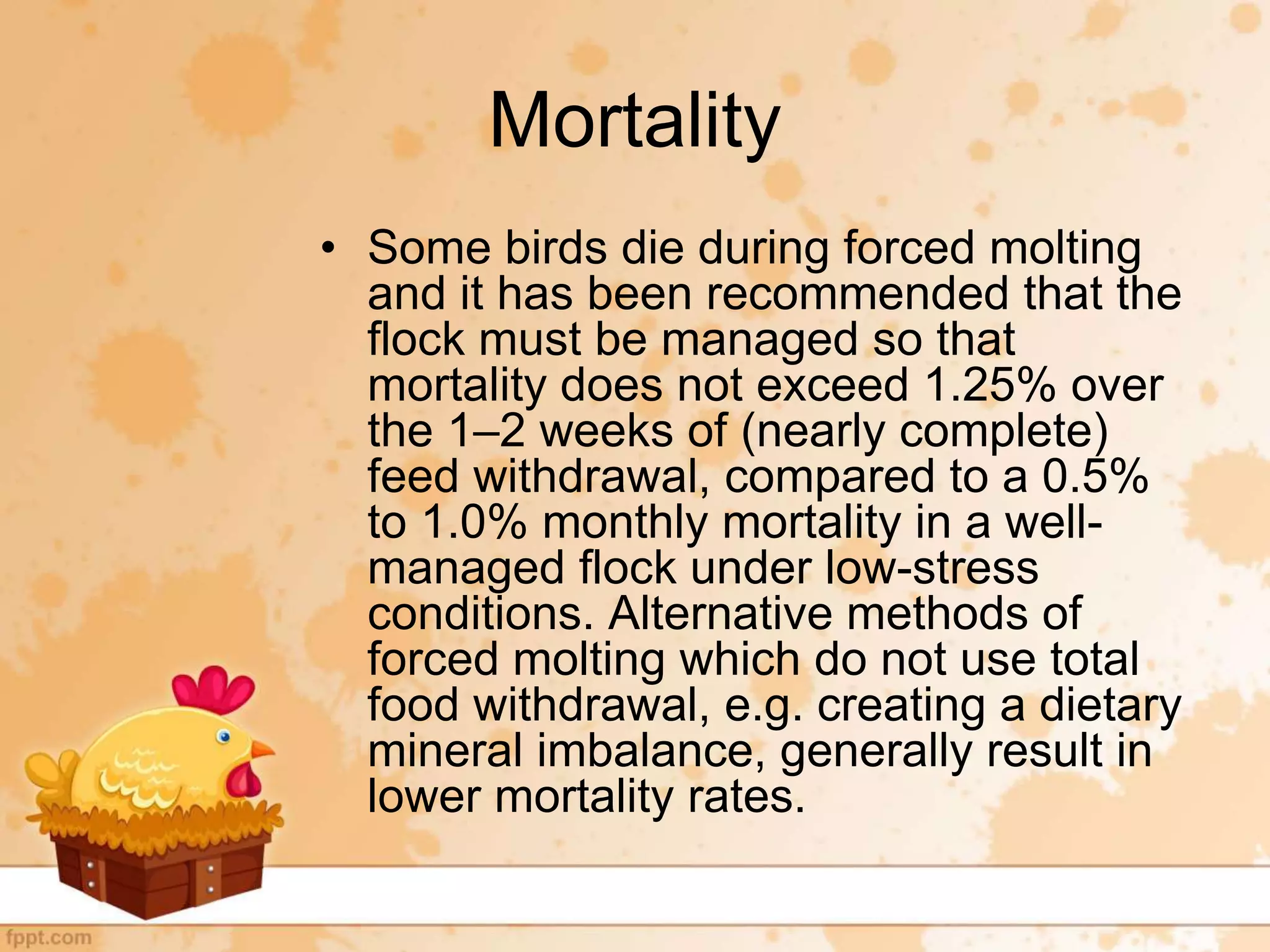 induced molting in broiler breeder | PPTX