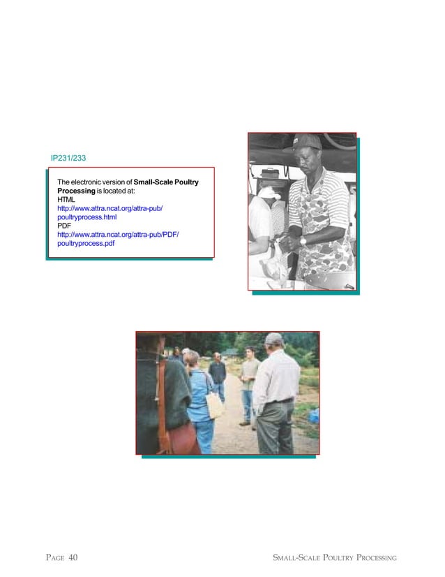 Small-Scale Poultry Processing | PDF