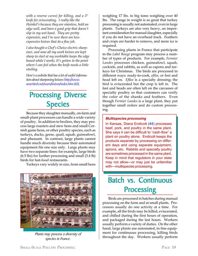 Small-Scale Poultry Processing | PDF