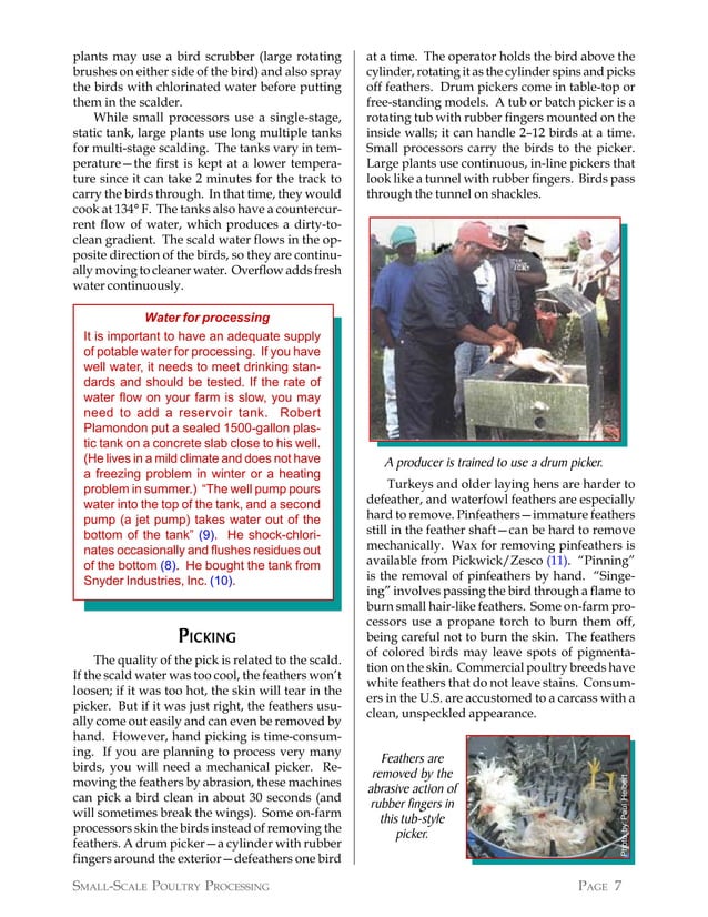 Small-Scale Poultry Processing | PDF