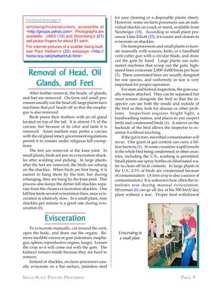 Small-Scale Poultry Processing | PDF | Agriculture | Industries