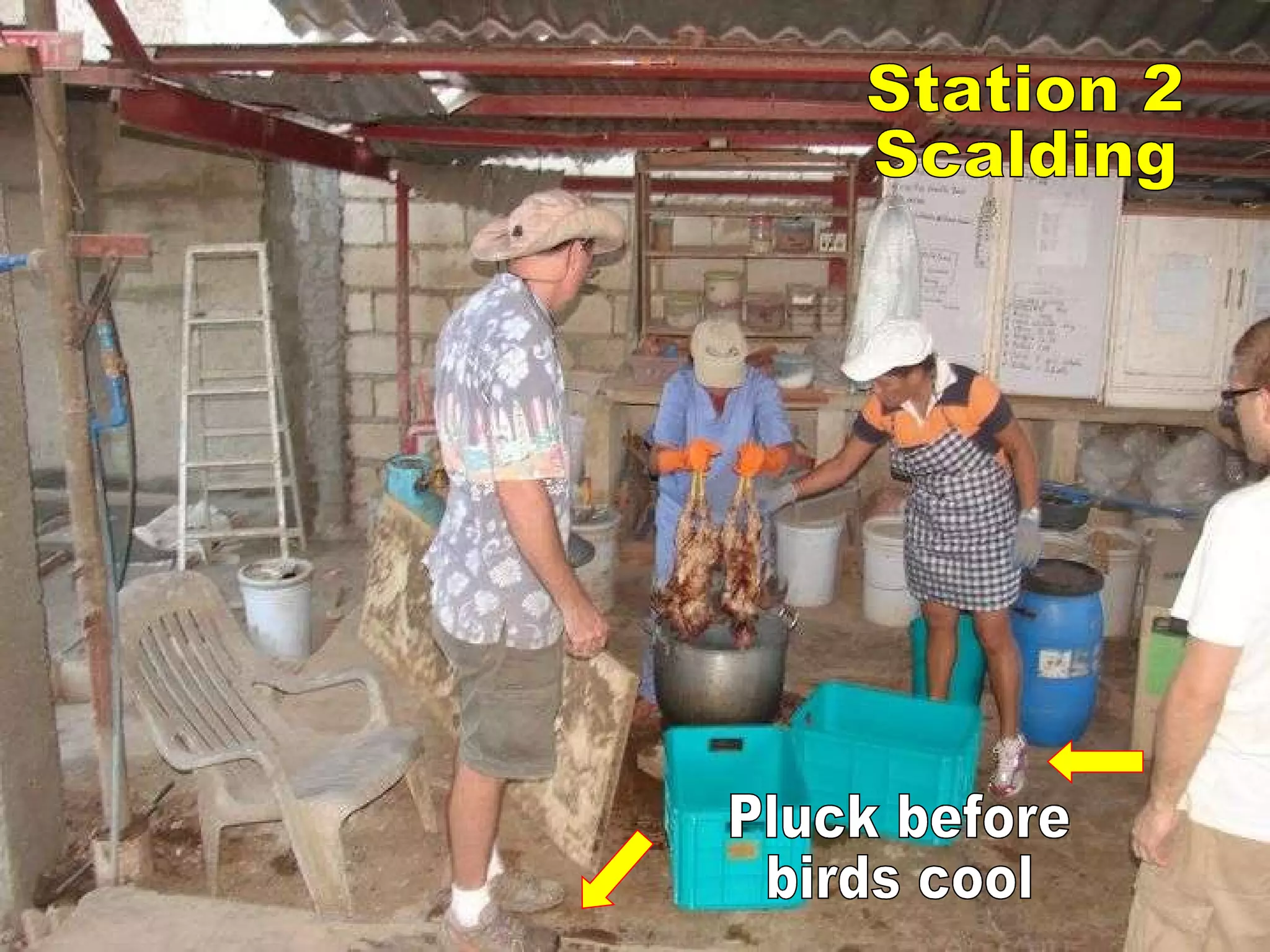 Poultry processing | PPT