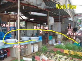 Poultry processing | PPT