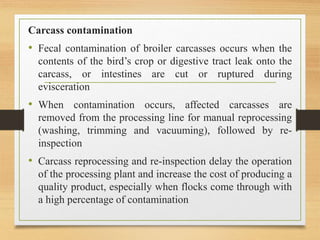 Poultry processing (1) | PPTX