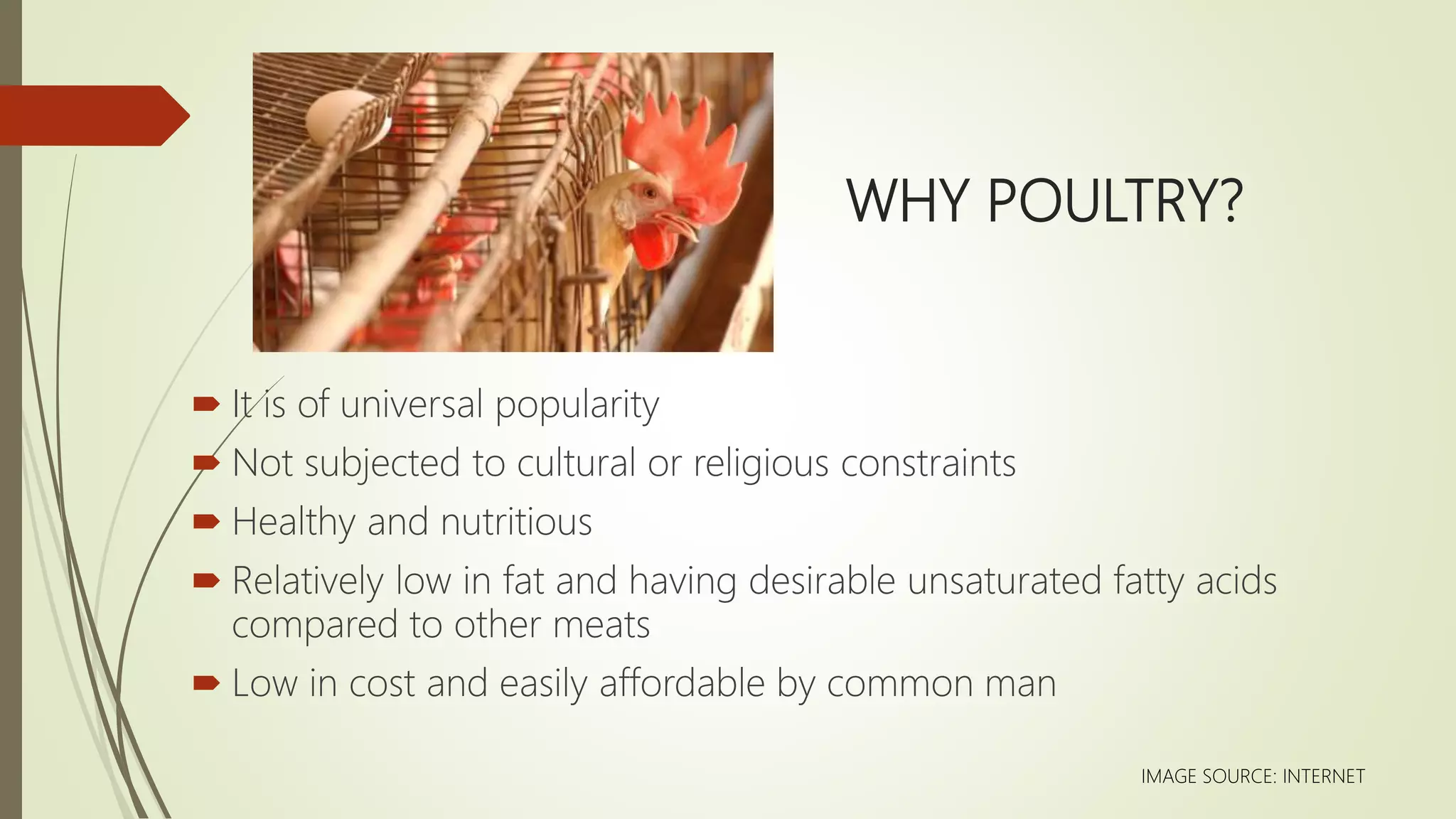 Poultry processing and poultry products ppt by dhanush rayapati | PPTX