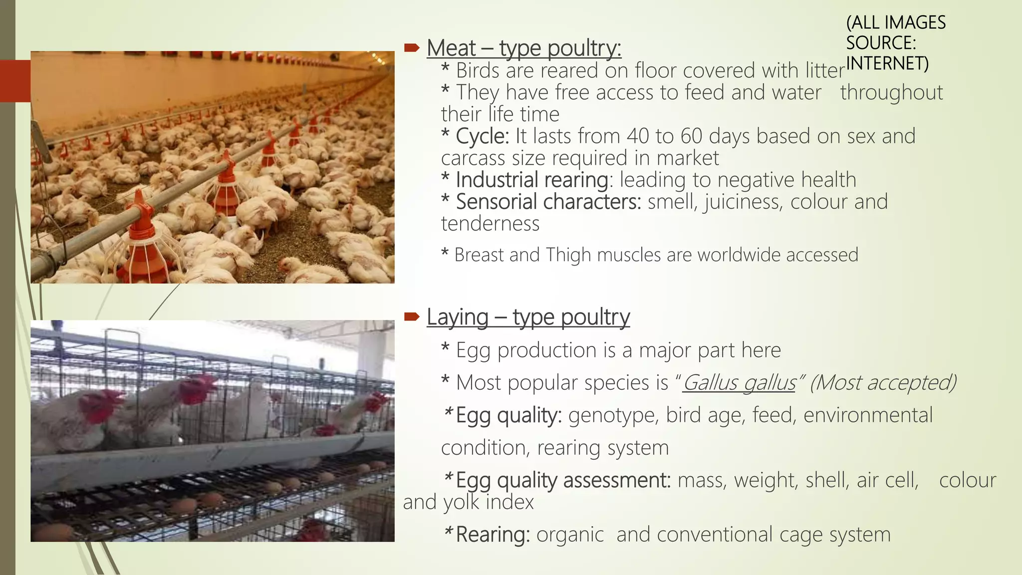 Poultry processing and poultry products ppt by dhanush rayapati | PPTX