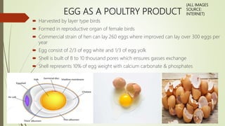 Poultry processing and poultry products ppt by dhanush rayapati | PPTX