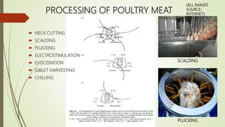 Poultry processing and poultry products ppt by dhanush rayapati | PPTX