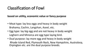 Poultry production | PPT
