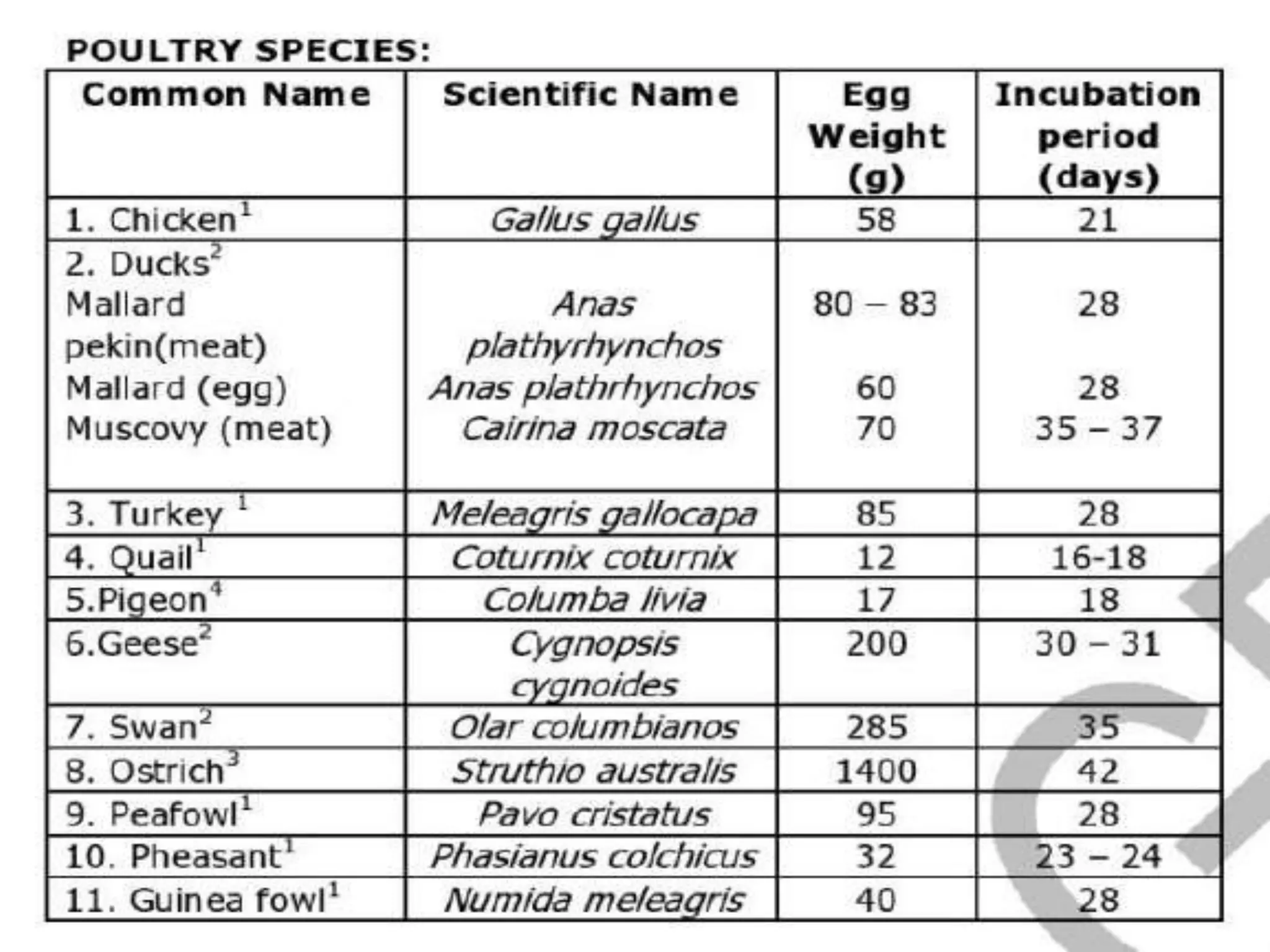 POULTRY_PRODUCTION1.pptx