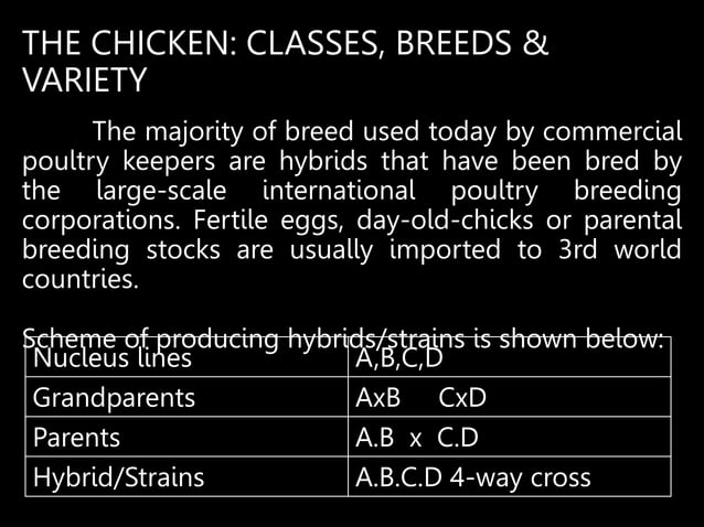 POULTRY_PRODUCTION1.pptx