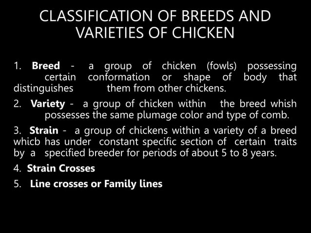 POULTRY_PRODUCTION1.pptx