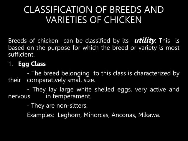 POULTRY_PRODUCTION1.pptx