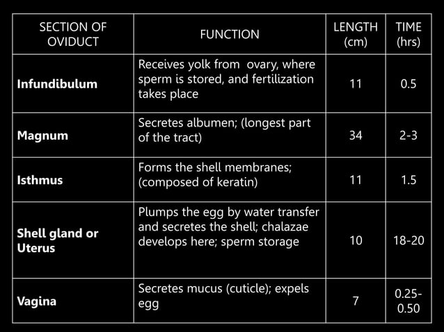 POULTRY_PRODUCTION1.pptx