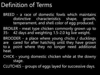 POULTRY_PRODUCTION1.pptx