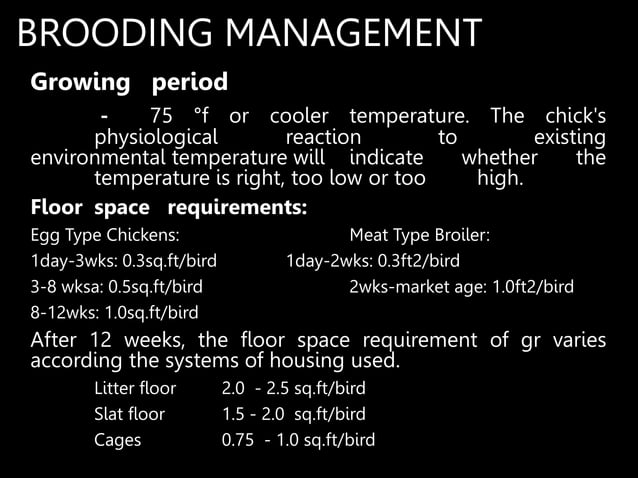 POULTRY_PRODUCTION1.pptx