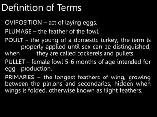 POULTRY_PRODUCTION1.pptx
