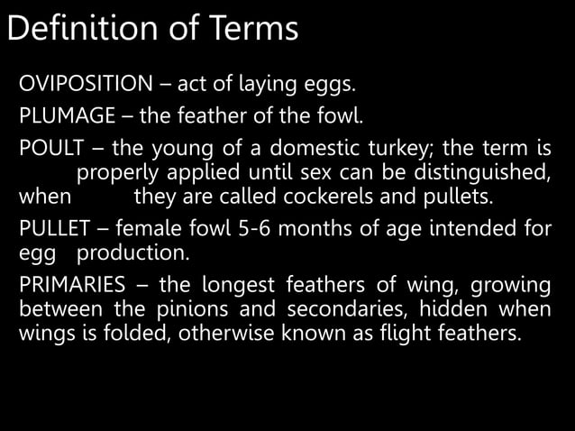 POULTRY_PRODUCTION1.pptx