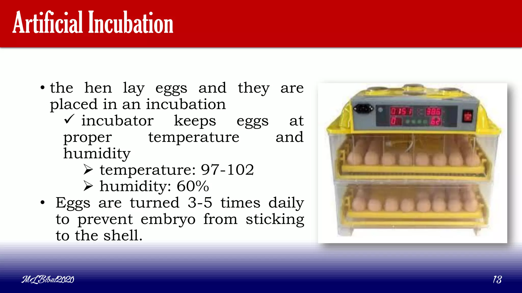 Poultry production management | PDF