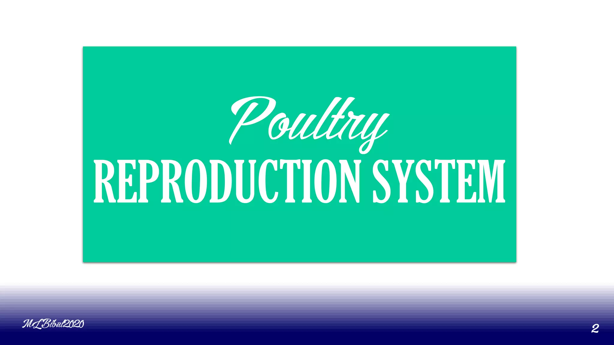 Poultry production management | PDF