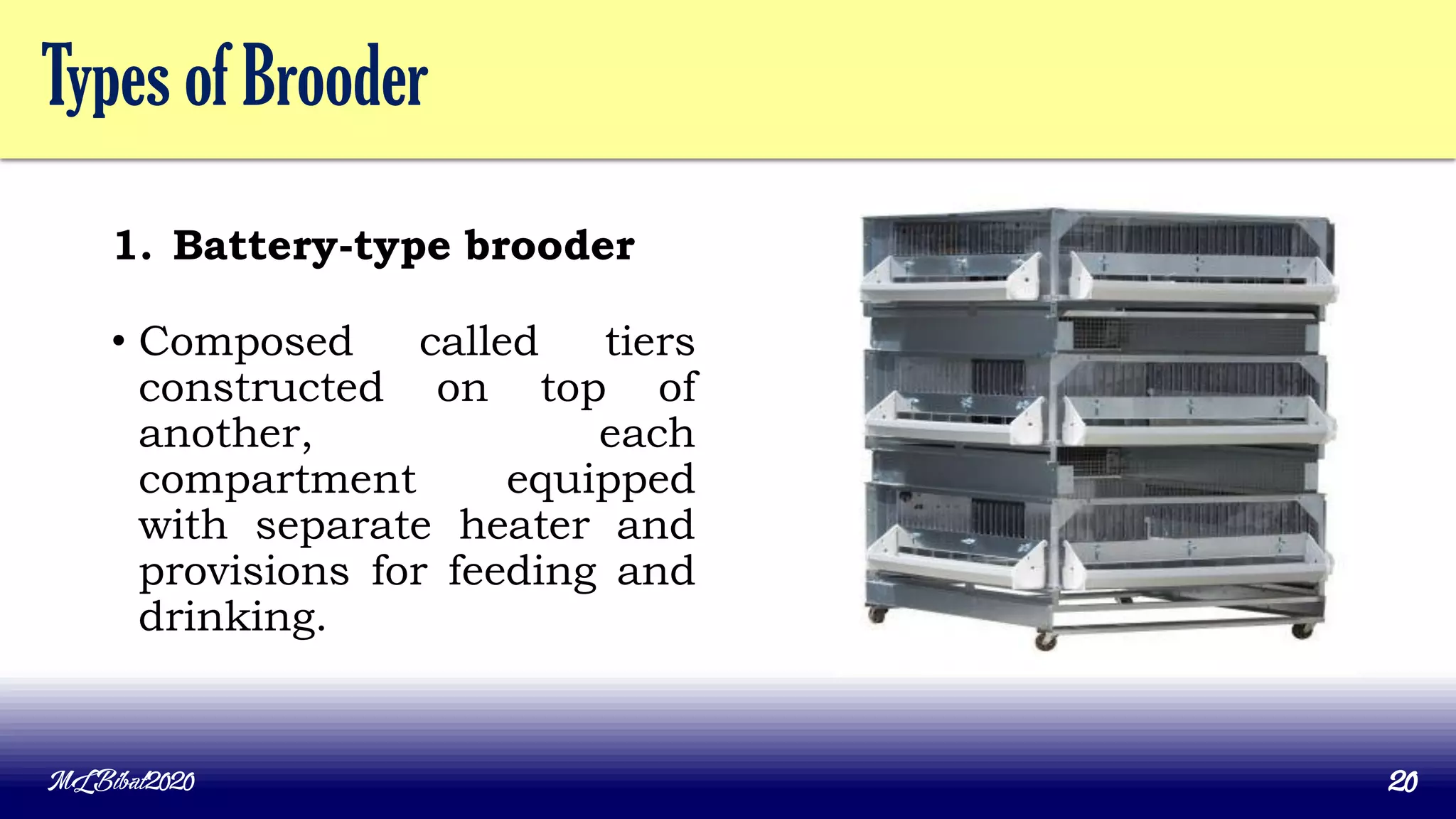 Poultry production management | PDF